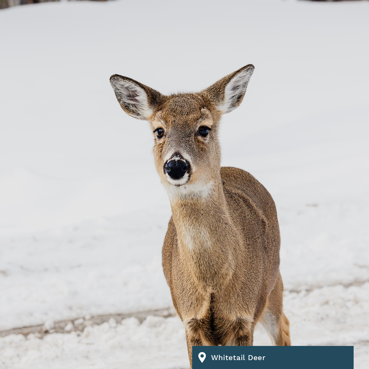 Wednesday - February 5 - Daily304