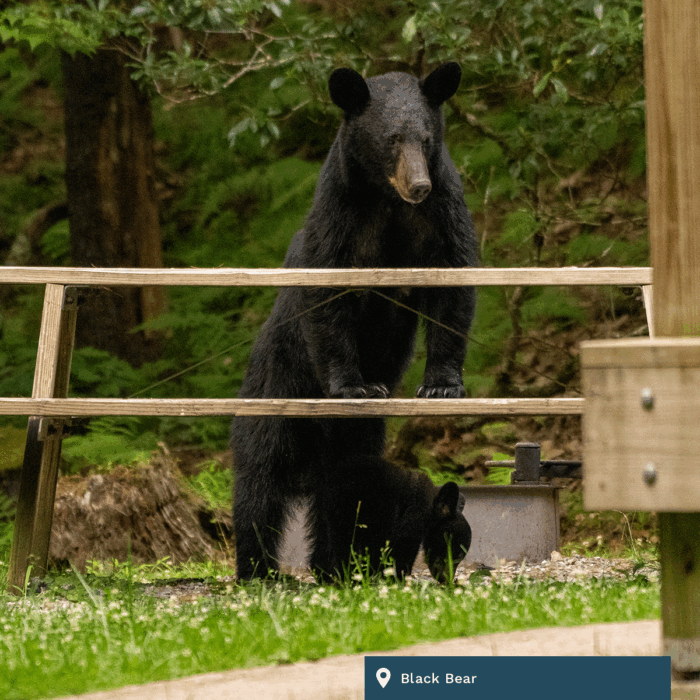 Wednesday - June 4 - Daily304